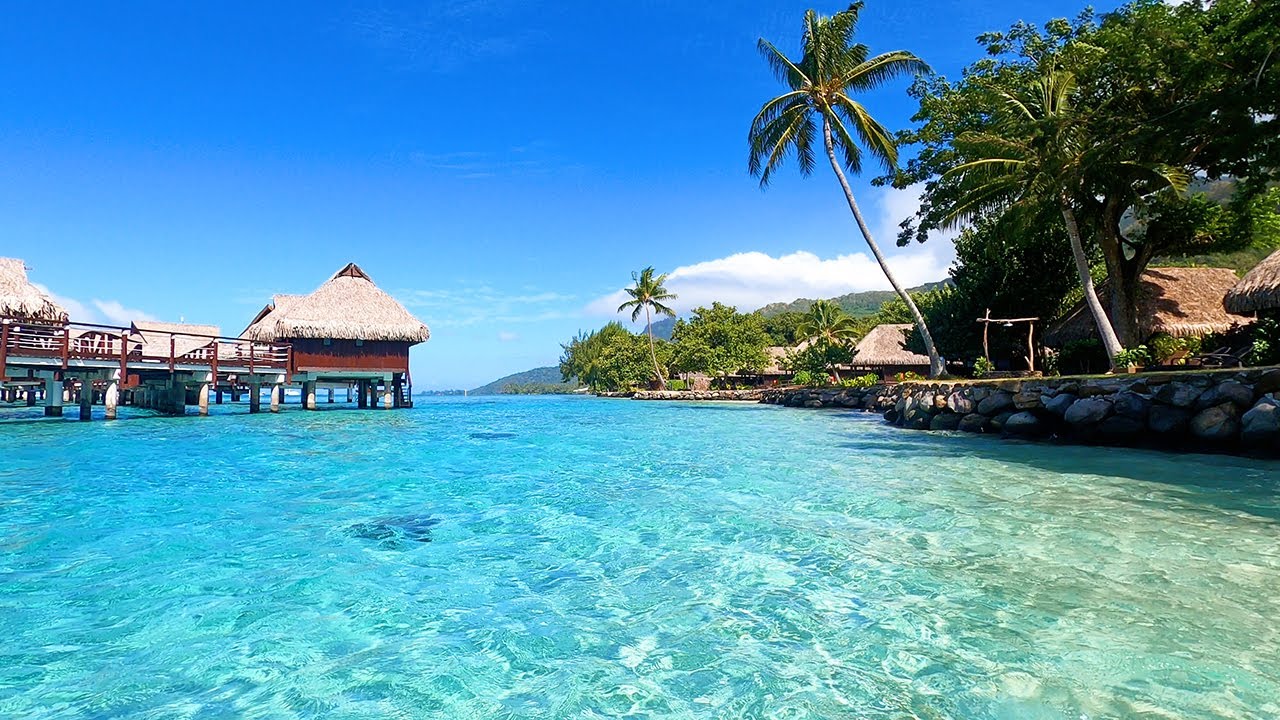 Tropical Tranquility: Screensaver For Sleep, Study & Relaxation - YouTube