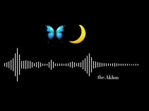 WhatsApp statusları mənalı statuslar