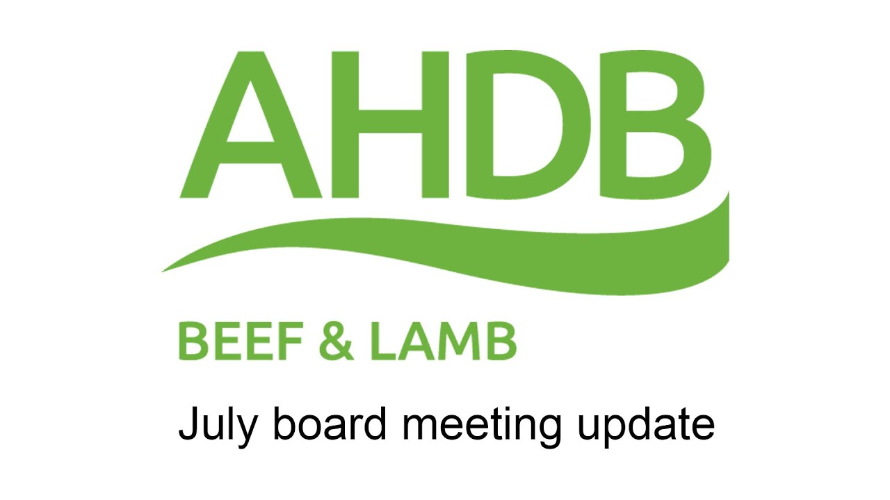 Board meeting update with Adam Quinney: July 2016 - YouTube