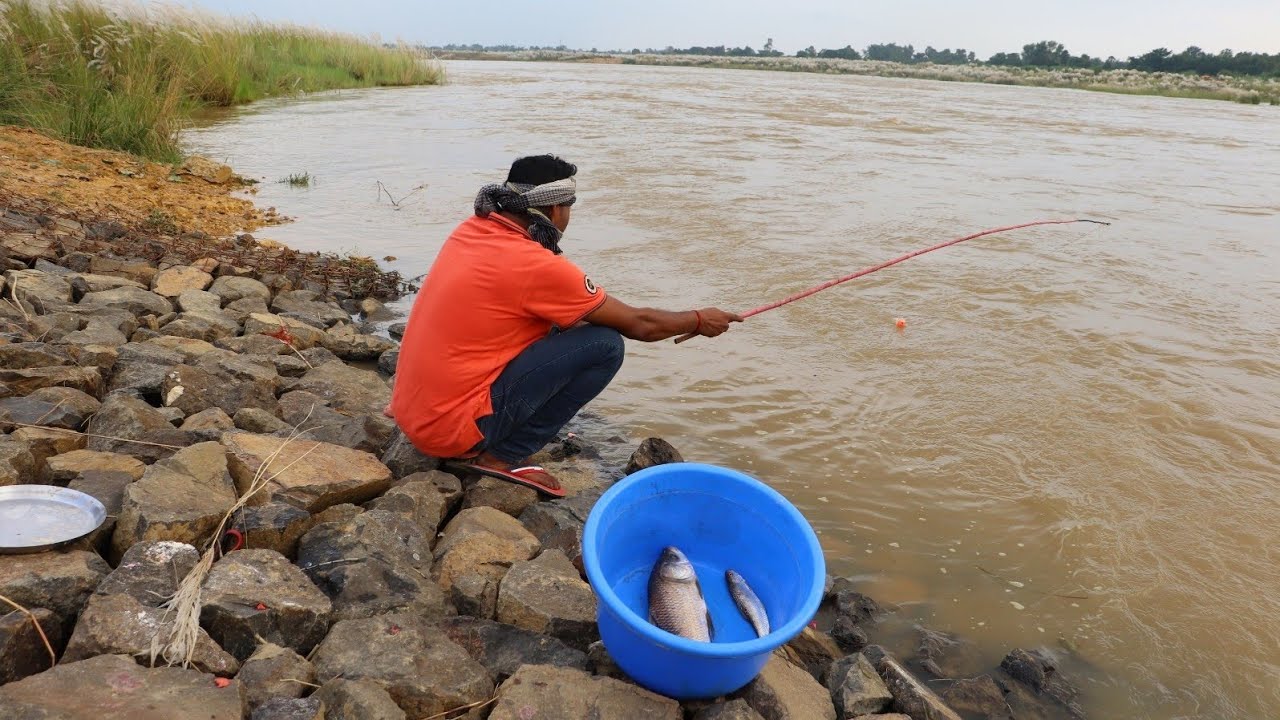 Fishing Video || The skilled village boys know all the tricks of ...