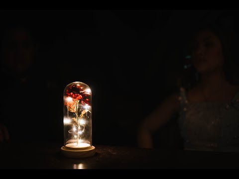 Elyssa's Evening of Elegance Pre Debut Highlights (Beauty and the Beast Themed)