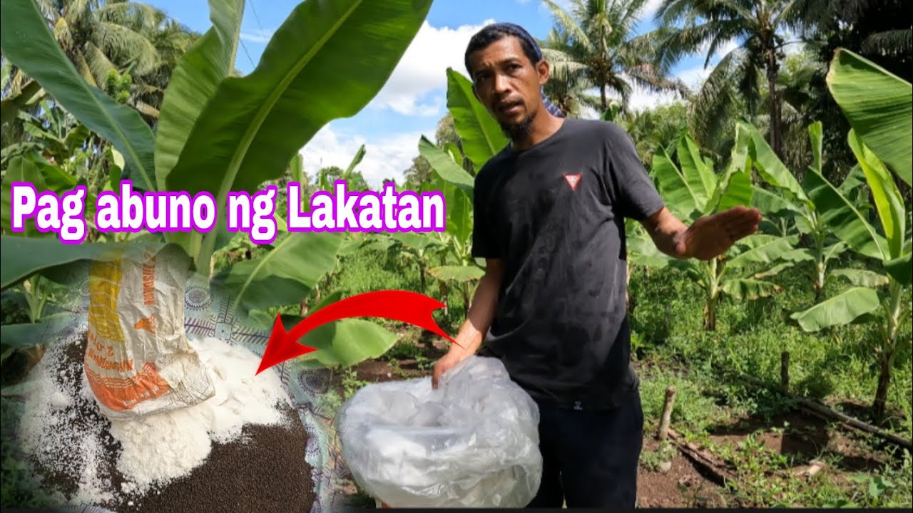 PAG ABUNO NG LAKATAN - YouTube