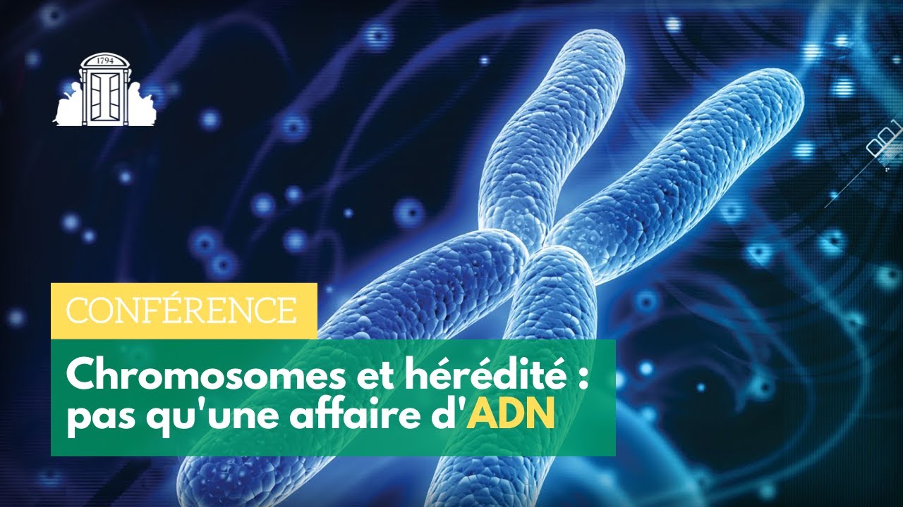 "Les chromosomes et l'hérédité : pas qu'une affaire d'ADN" - Vincent ...
