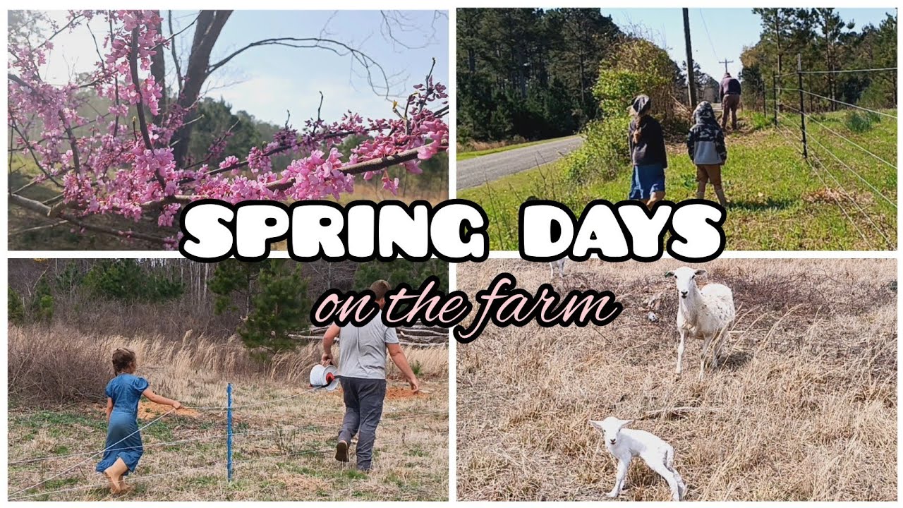 Farm Days and Spring Weather☀️🐑//Updates and Additions - YouTube
