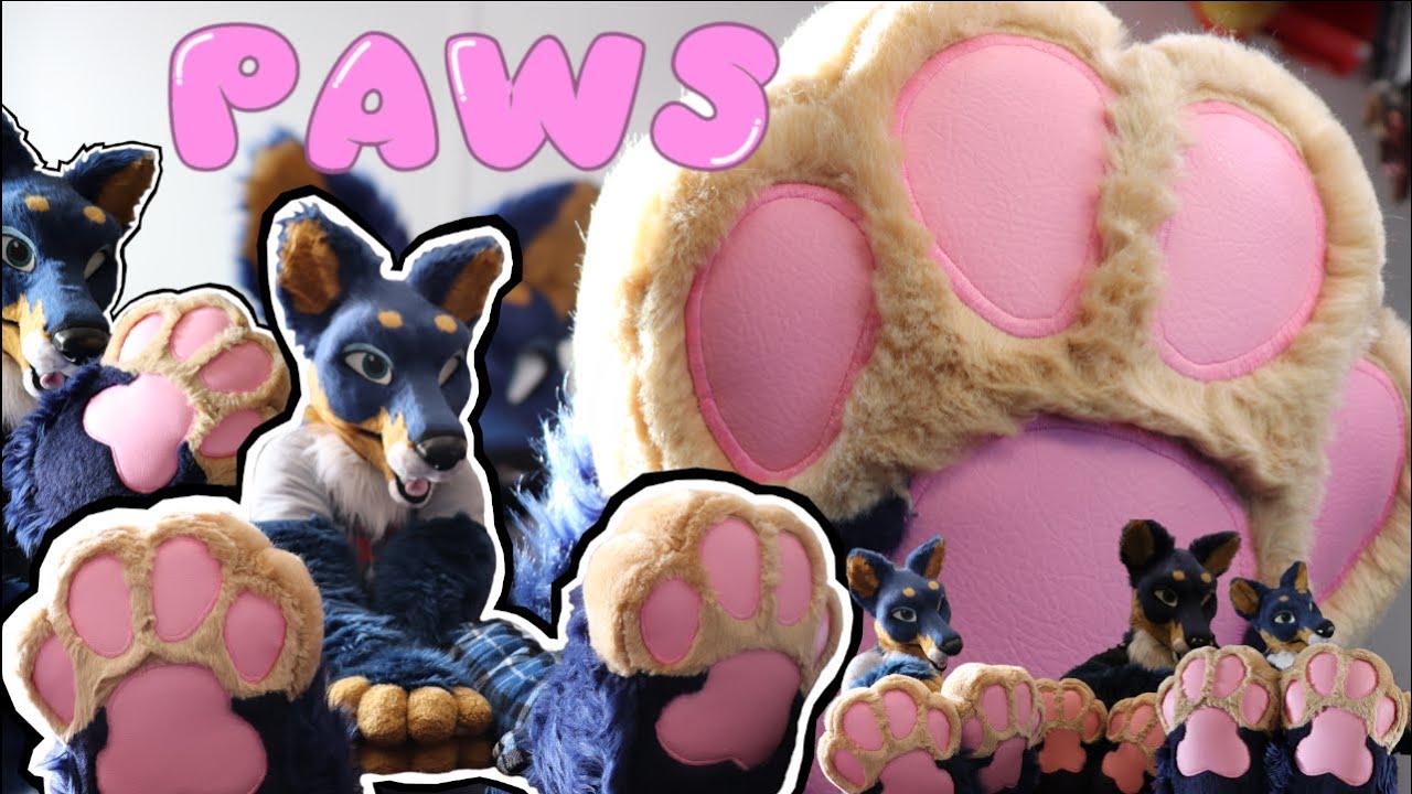 PAWS - YouTube