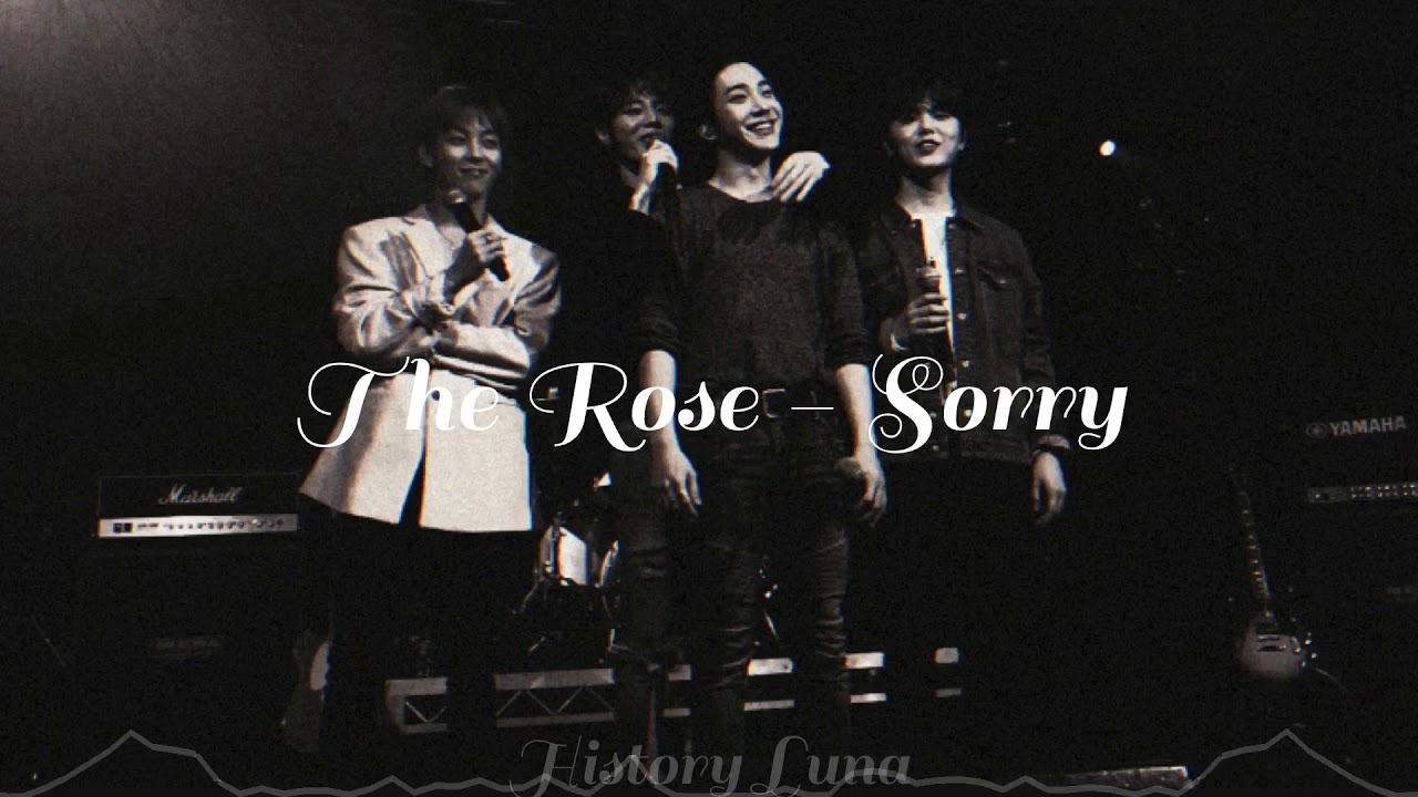 The Rose - Sorry (𝕤𝕝𝕠𝕨𝕖𝕕 𝕟 𝕣𝕖𝕧𝕖𝕣𝕓) - YouTube