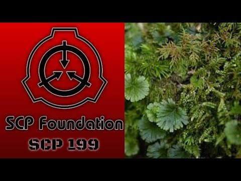 A Cat Reads || SCP Articles || SCP-199 - Spy Ferns - YouTube