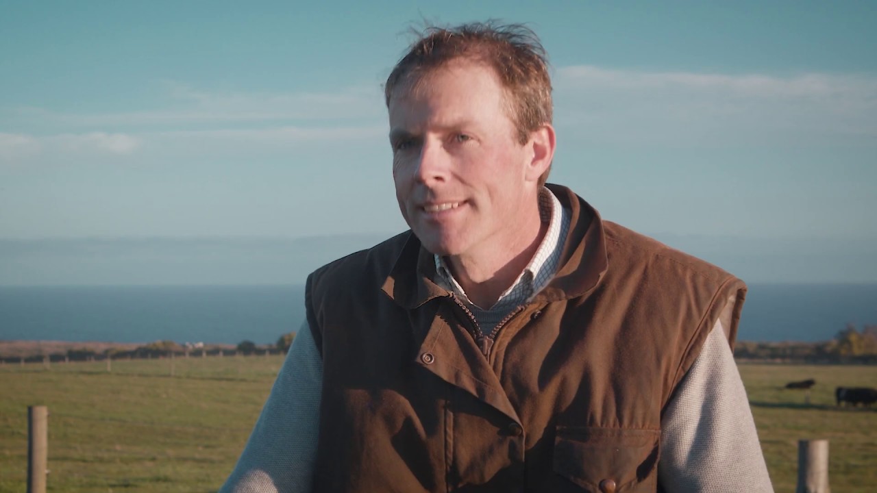 2019 MSA Excellence in Eating Quality Most Outstanding Vic Beef ...