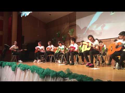 Çamlıca Doğa Koleji Gitar Orkestrası Eye of the Tiger&Despacito