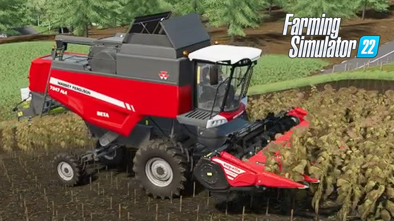 Massey Ferguson 7360 AL4 Beta Autolivellante - Sunflower Harvest ...