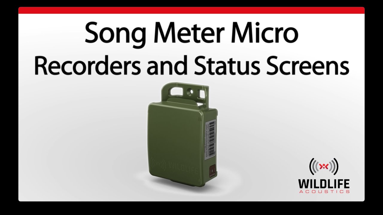 Song Meter Micro - Recorders and Status Screens | Bird Sound Recorder ...