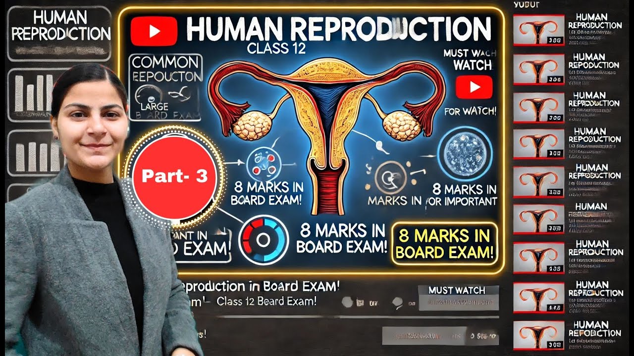 Menstrual cycle, Implantation, pregnancy, Parturition| Human ...