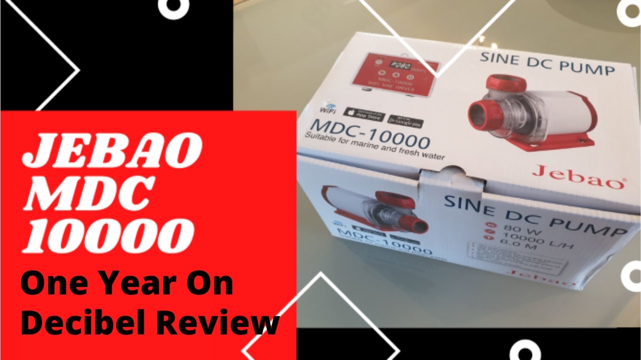 Jebao MDC Pump | One Year On Noise Review - YouTube
