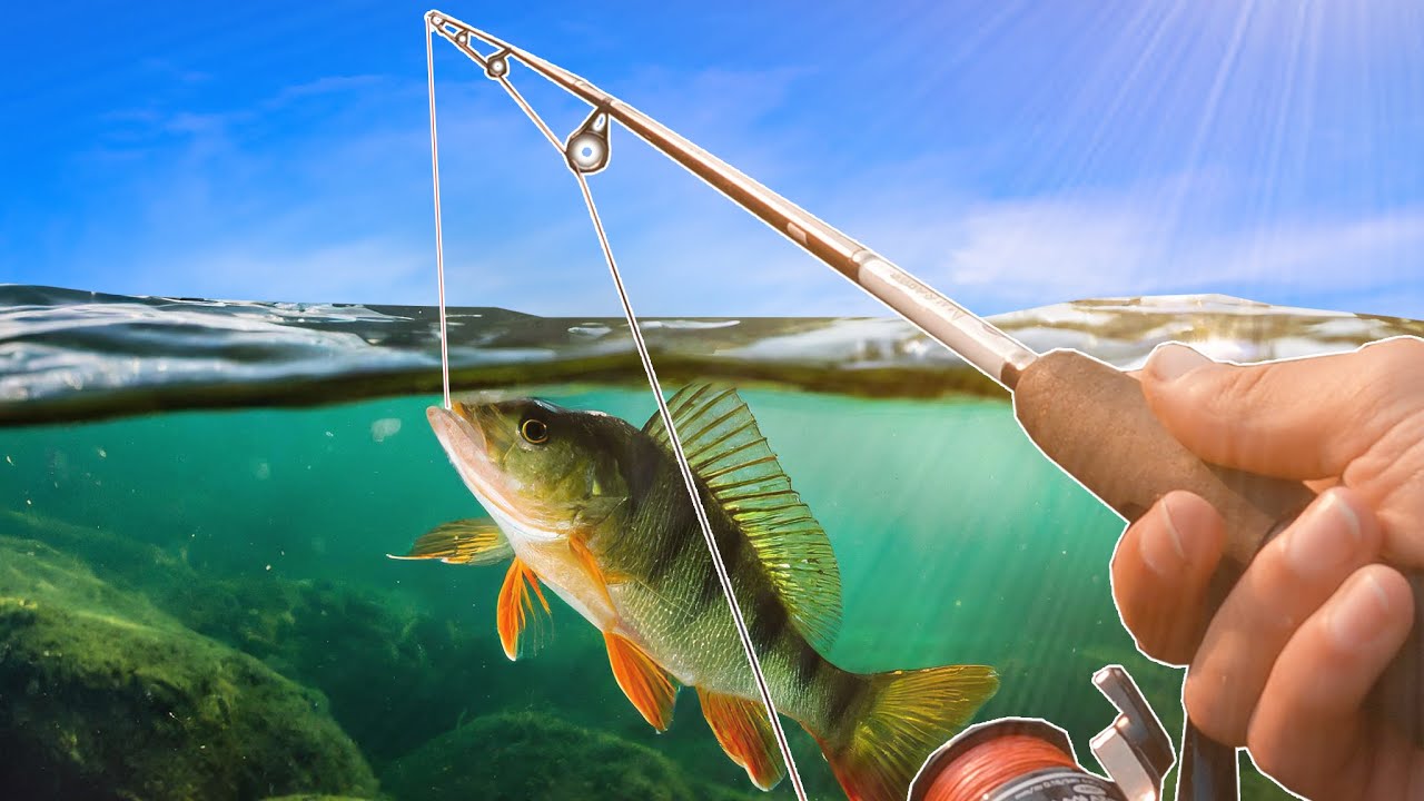 The SMALLEST LURE I've Ever Used! (Huge Catch!) - YouTube