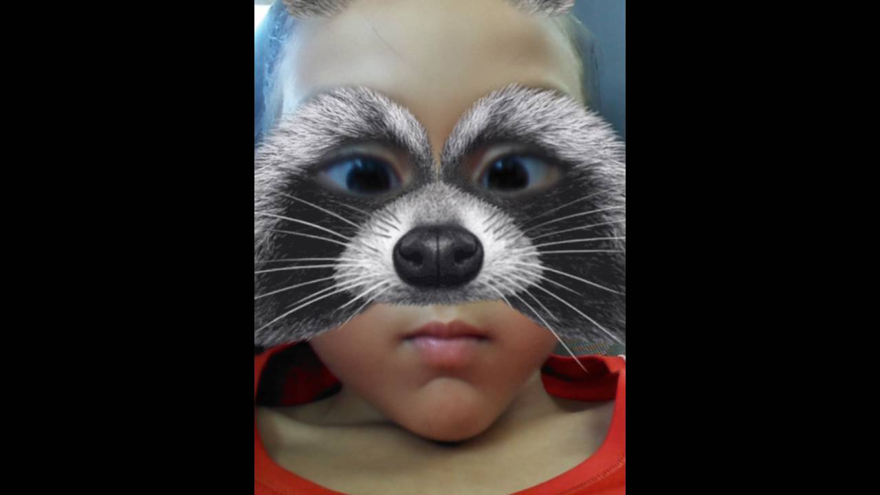 Mapache loco - YouTube