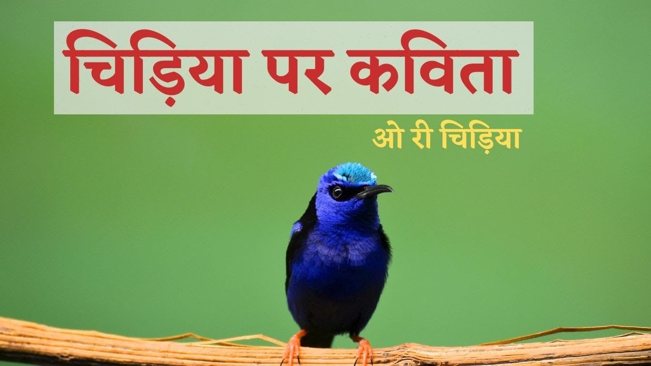 Chidiya Par Kavita | चिड़िया पर कविता ( ओ री चिड़िया ) | Bird Poem In ...