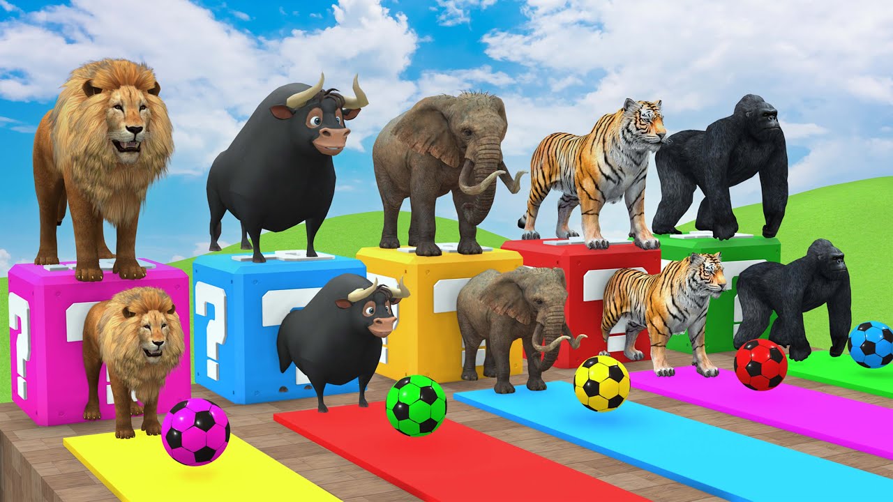 Long Slide Game With Cow Elephant Gorilla Hippopotamus Tiger 3d Animal ...