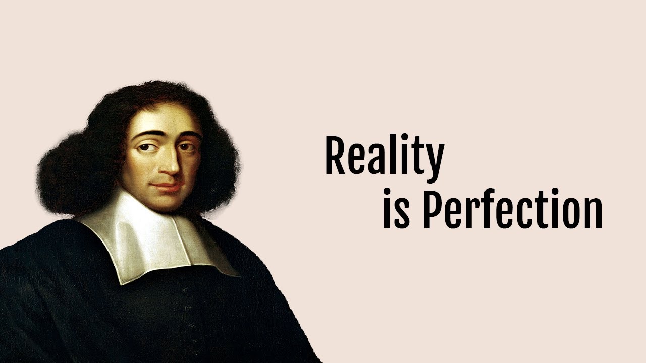 Spinoza: Human and Metaphysical Perfection (Steven Nadler / Alexander ...