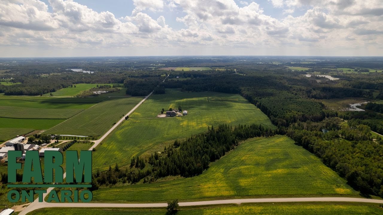 9744 Baseline Rd, Mount Forest | Farms For Sale In Ontario - YouTube