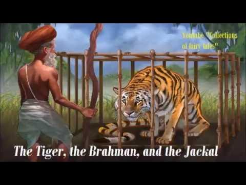 The Tiger, the Brahman, and the Jackal — Joseph JACOBS - YouTube
