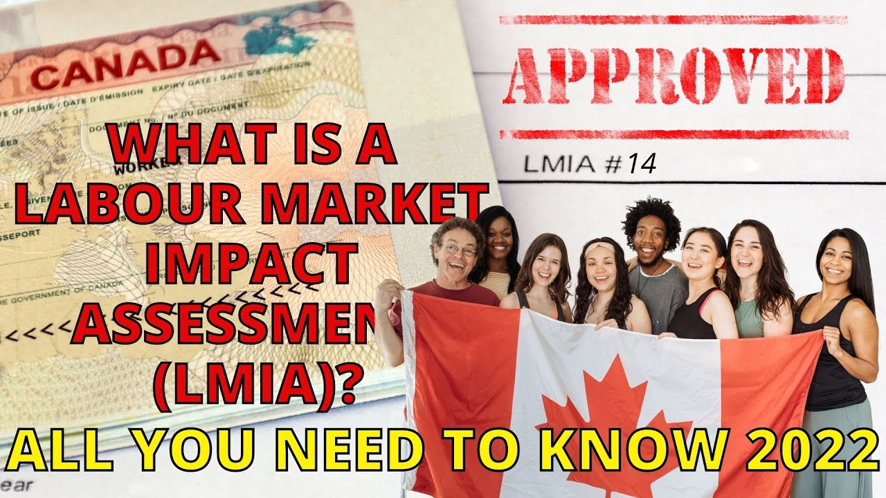 WHAT IS A LMIA | ALL YOU NEED TO KNOW AND STEP BY STEP PROCESS 2024 ...