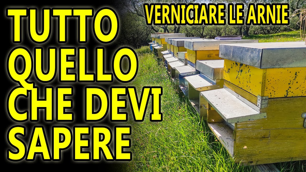 APICOLTURA: VERNICIARE LE ARNIE PER LE API - YouTube
