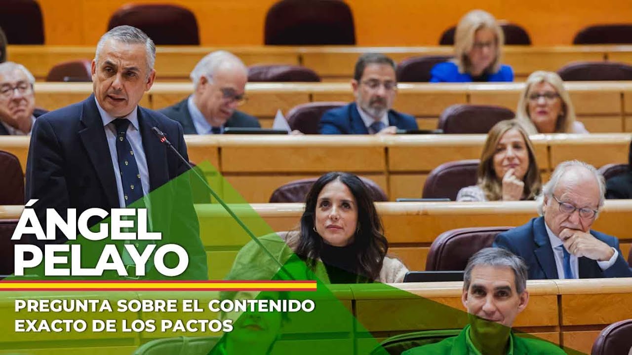 Intervención de ÁNGEL PELAYO en el Pleno del Senado del 19 de diciembre ...