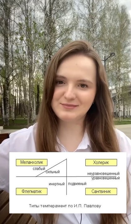 Теория темперамента И П Павлова поток темперамент психология павлов