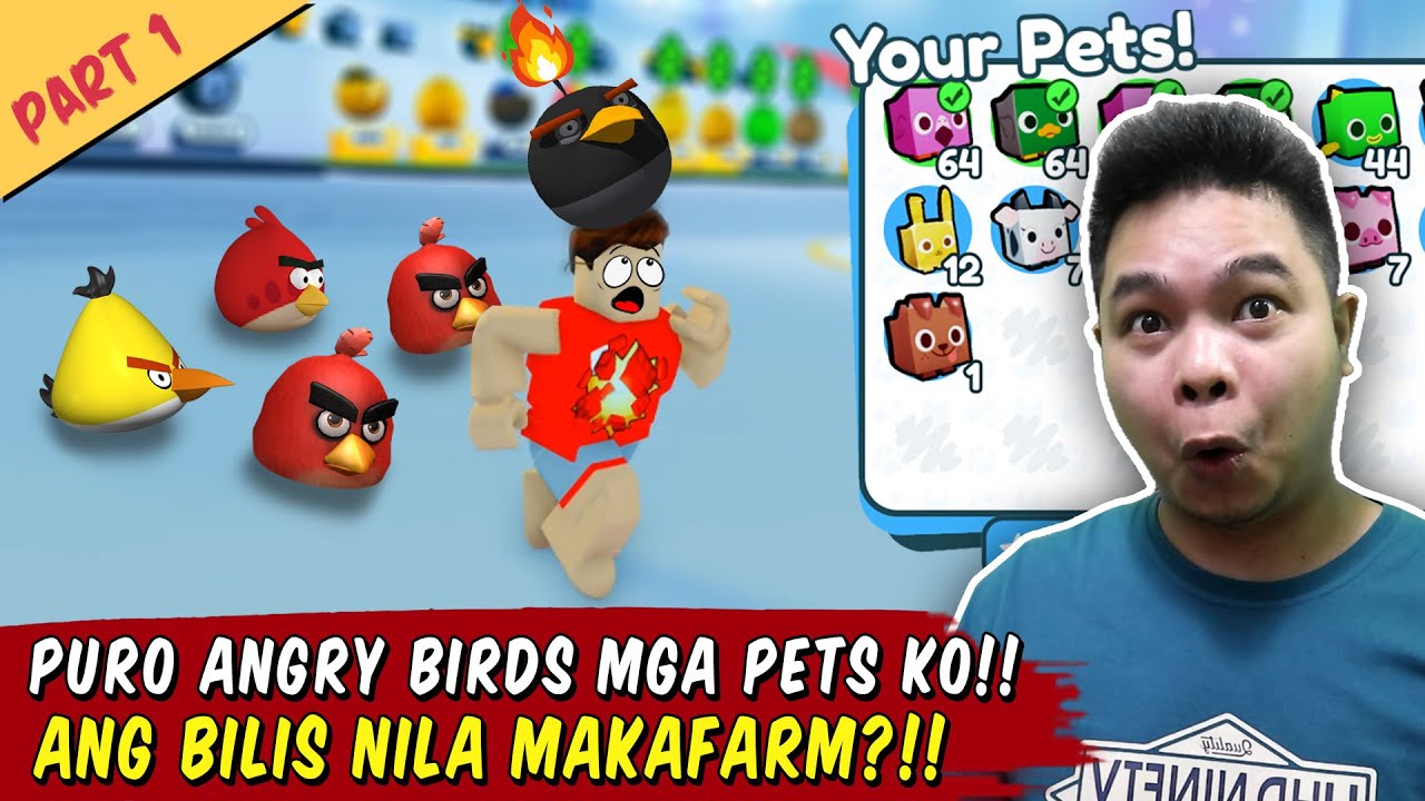 Pet ko Puro Angry Birds - Roblox Pet Simulator - YouTube