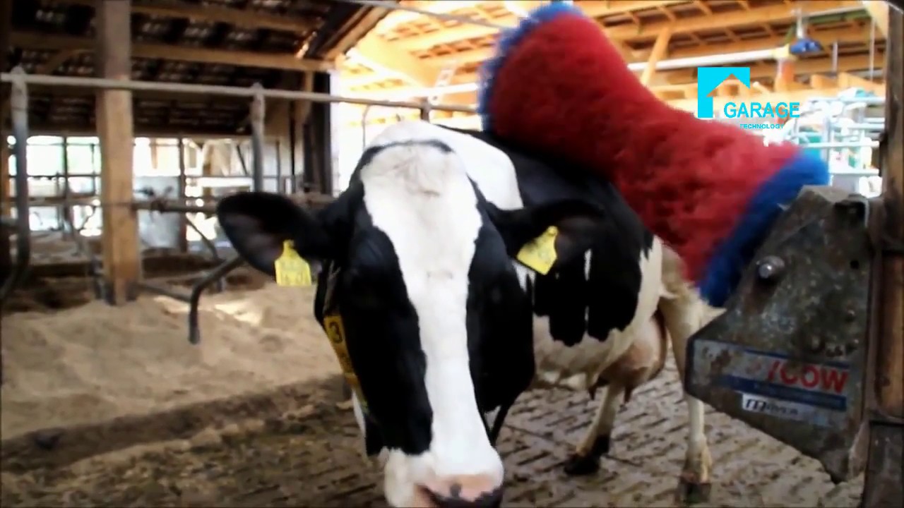 Intelligent Technology Smart Farming Automatic Cow Milking Machine ...