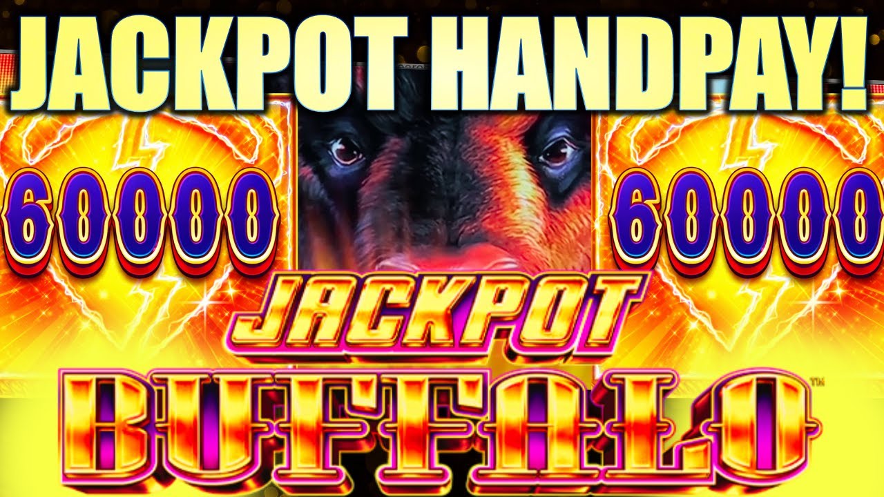 ★JACKPOT HANDPAY!★ WOWZER!! FIRST TIME ON THIS BUFFALO!! 🦬 JACKPOT BUFFALO Slot Machine ...