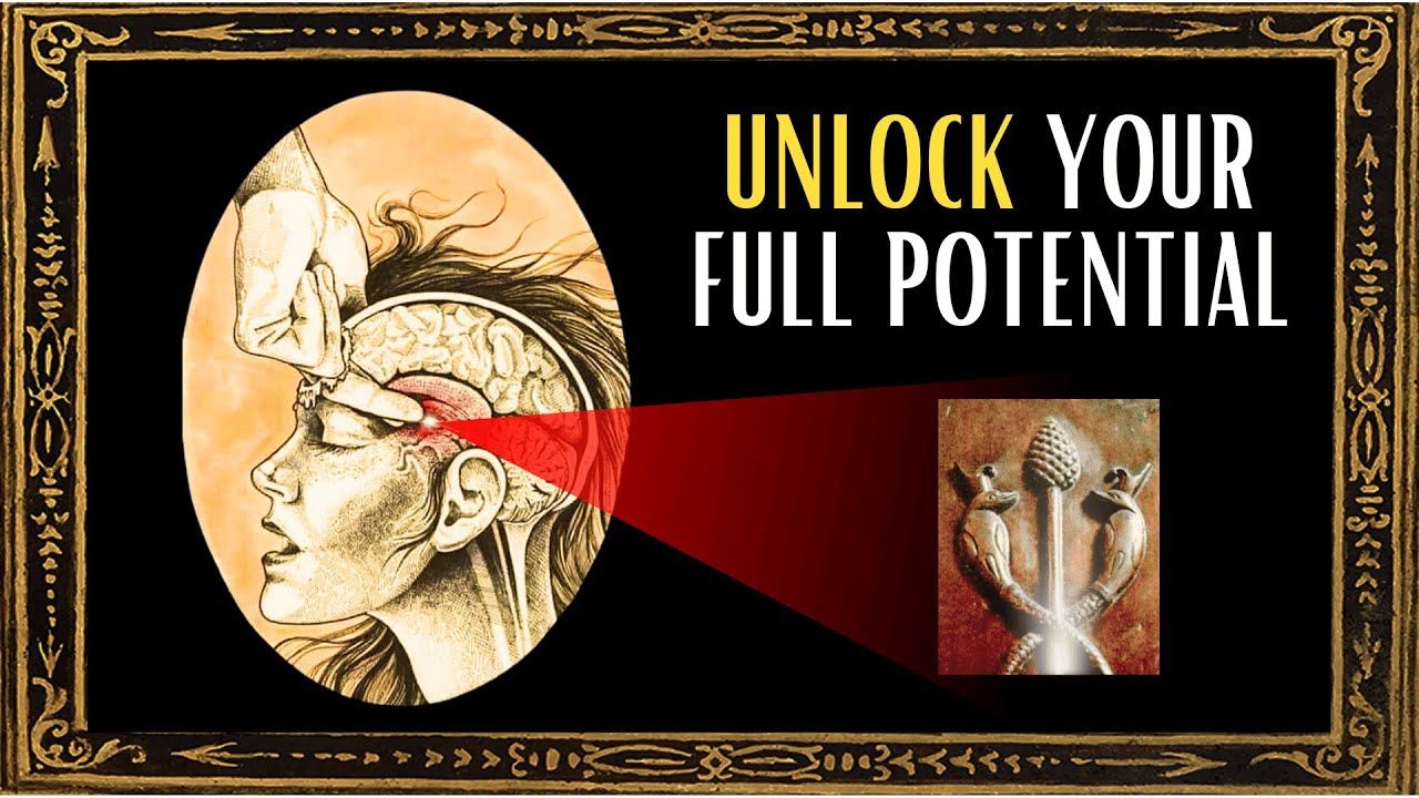 Brain Synchronization: How to Activate Your Entire Mind at Maximum ...