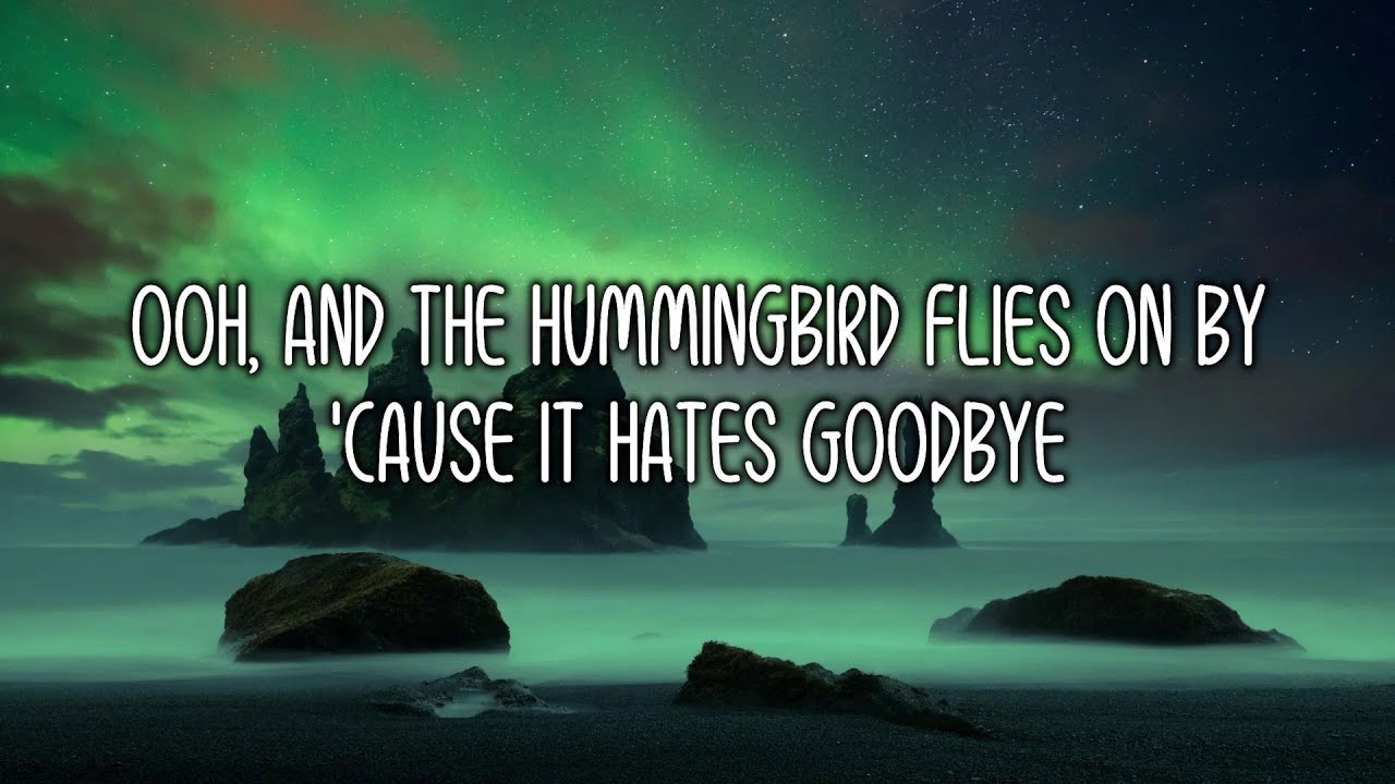 Carly Pearce - Hummingbird (Lyrics) - YouTube