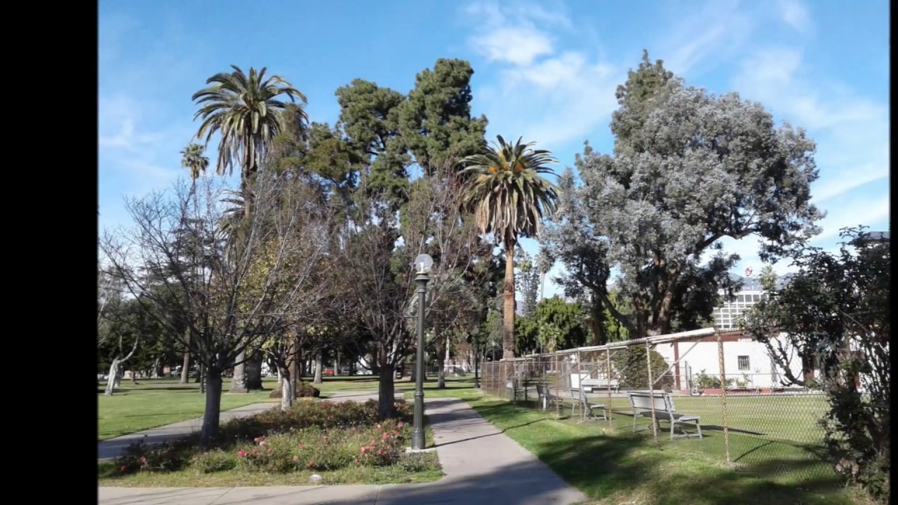 Trees of Central Park, Pasadena, California, January 2018 - YouTube