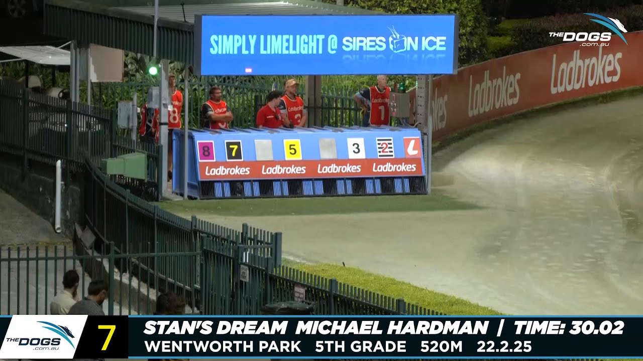 Stan's The Man - YouTube