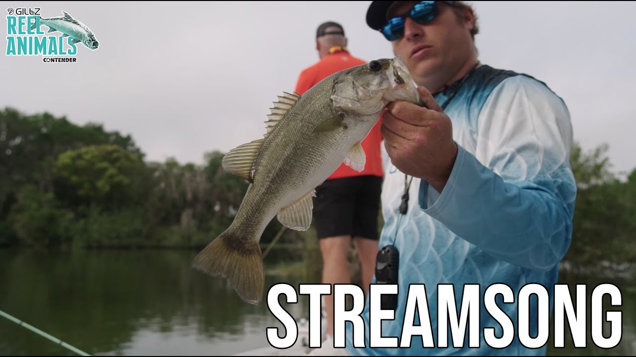 Reel Animals S15:E5 "Streamsong" - YouTube