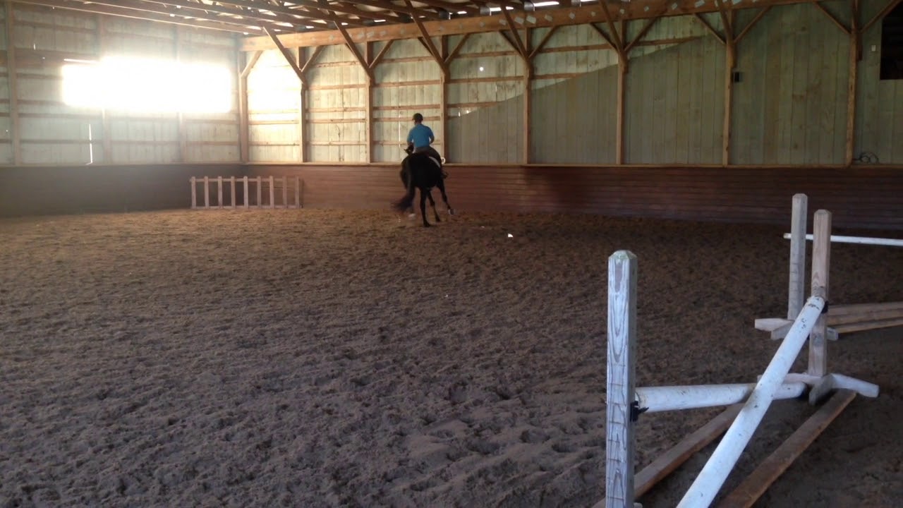 Whisper Flatwork - YouTube
