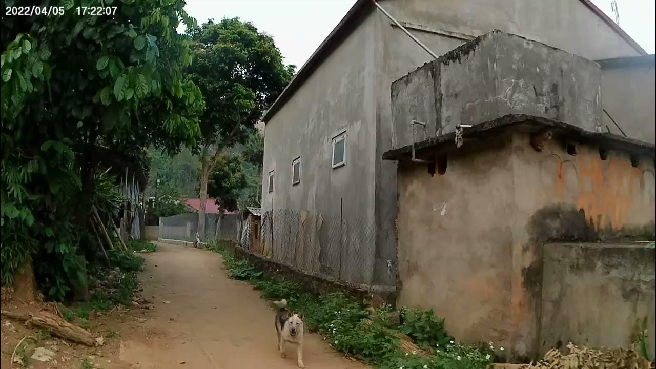 sc3 05 4 chieng den phieng nghe bản giang p8 - YouTube