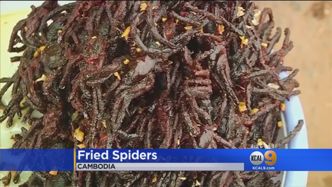 Fried Tarantulas All The Rage In Cambodia - YouTube