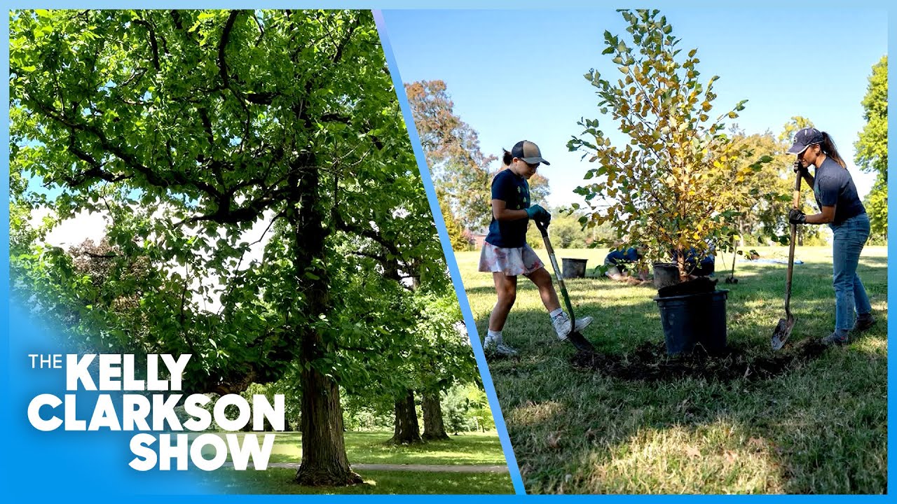 Kelly Clarkson Loves Nonprofit Transforming Missouri's Tree Canopy ...