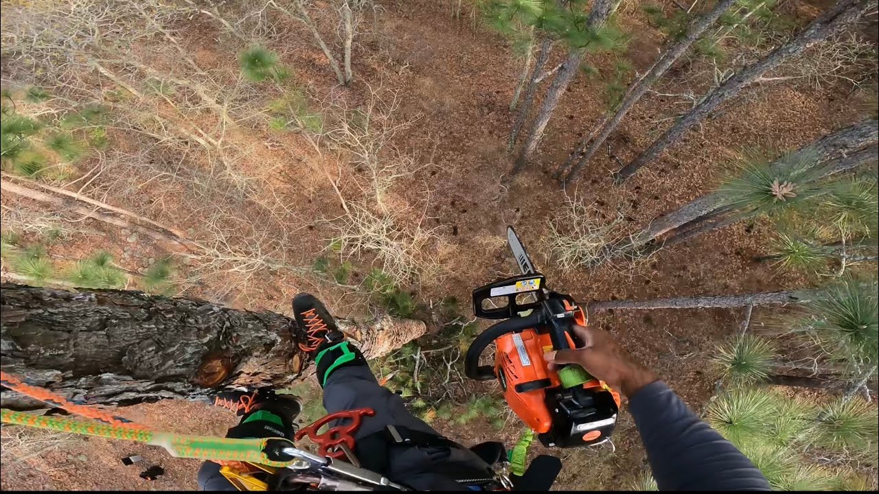 Third Time Climbing With Spurs/First Time Topping a Pine #ZML EHC ...