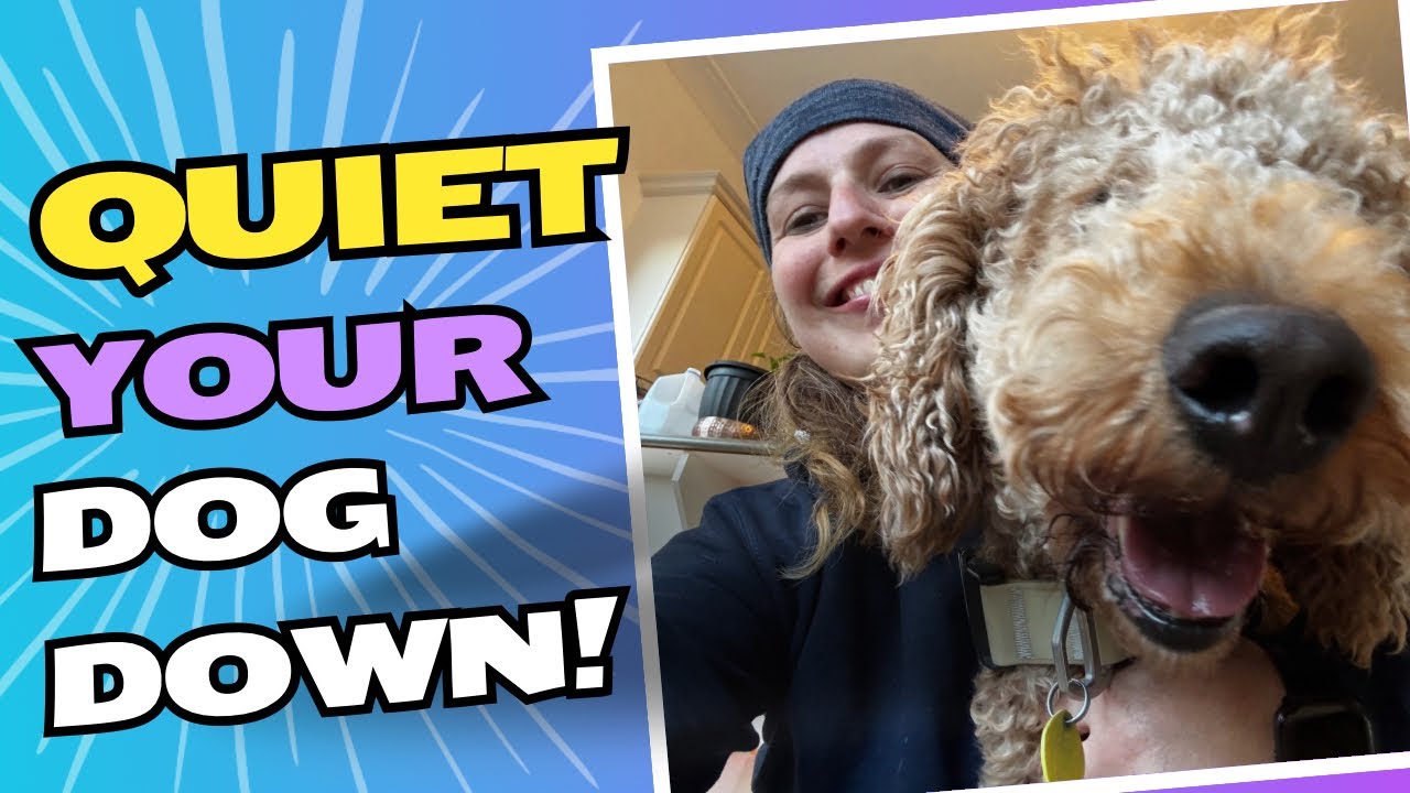 Teaching Your Dog To Be Quiet | Training Tips - YouTube