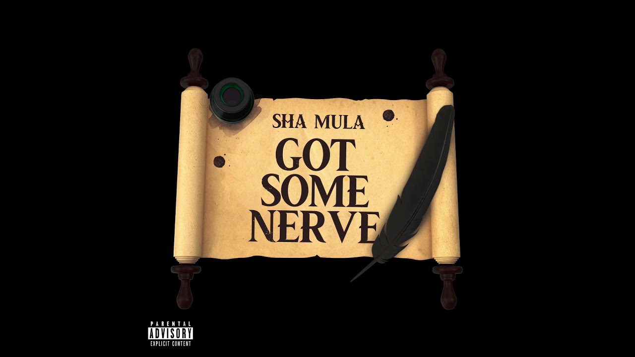 Sha MuLa - Got Some Nerve (Official Audio) - YouTube