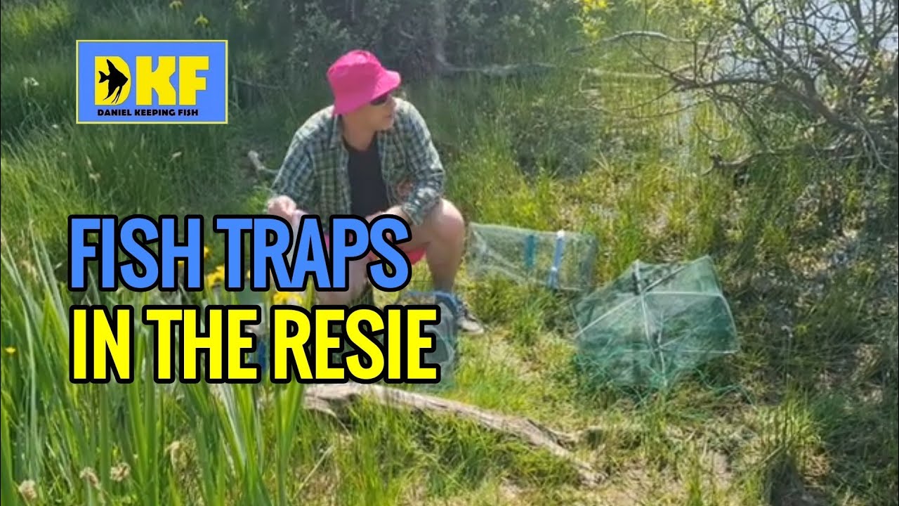 FISH TRAPS IN THE RESIE - YouTube