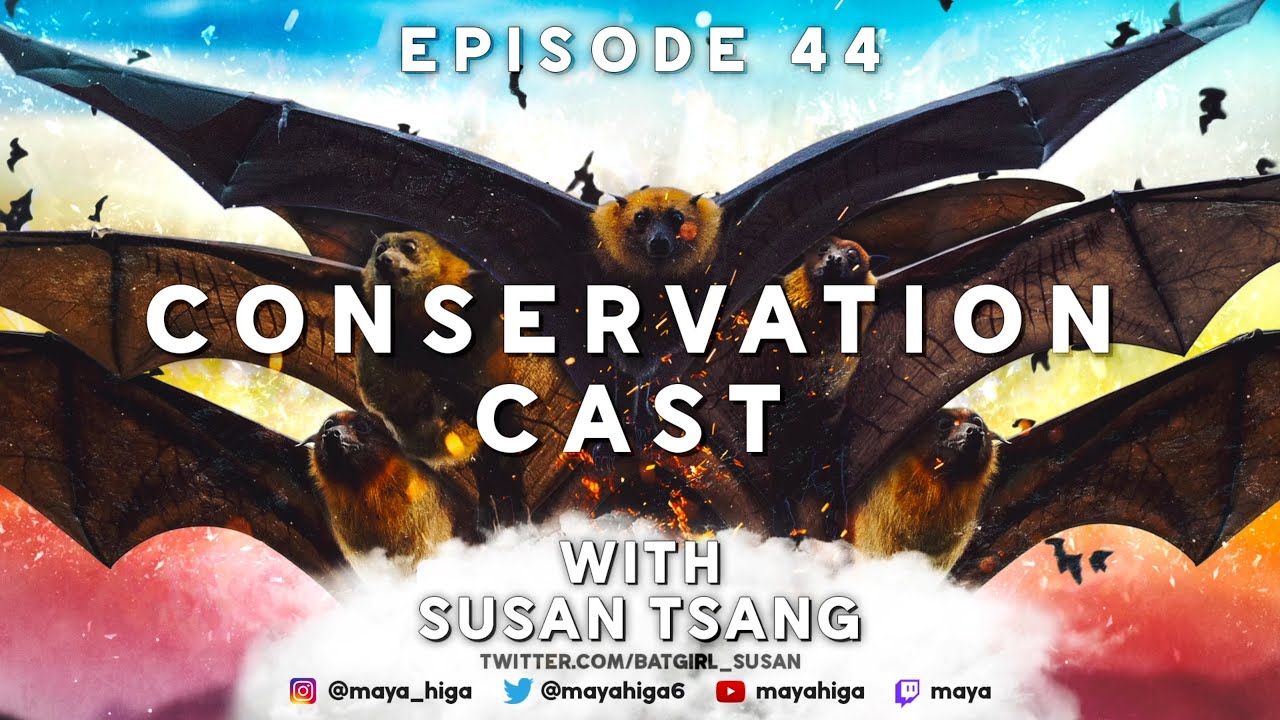 CONSERVATION CAST Ep. 44: Dr. Susan Tsang - YouTube