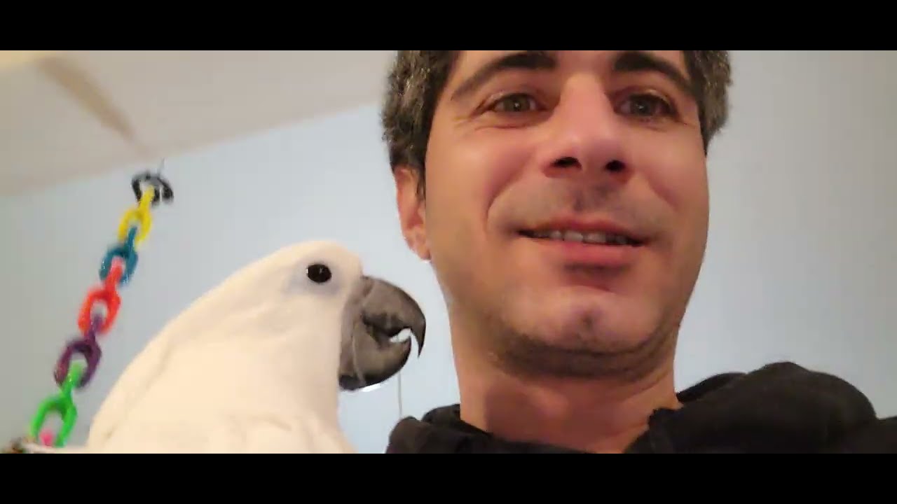 Yes my bird he's potty trained 😆🤩🥰 - YouTube