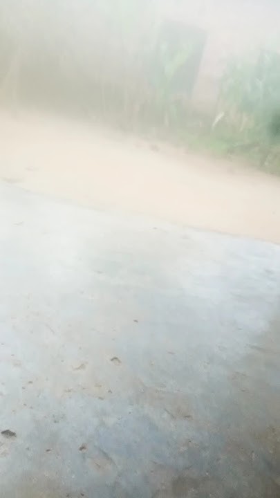 26 Juli 2024 - YouTube