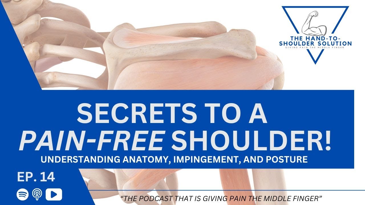 Secrets to a Pain-Free Shoulder: Understanding Shoulder Anatomy ...