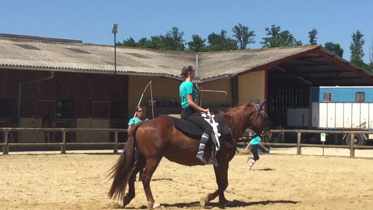 Au bos cheval rouge voltige 2017 - YouTube