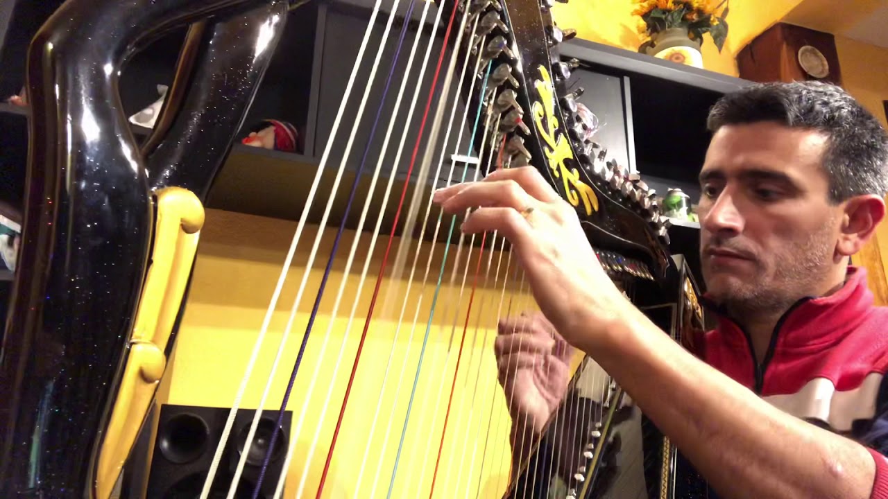 Merceditas - Chamame en Arpa - YouTube